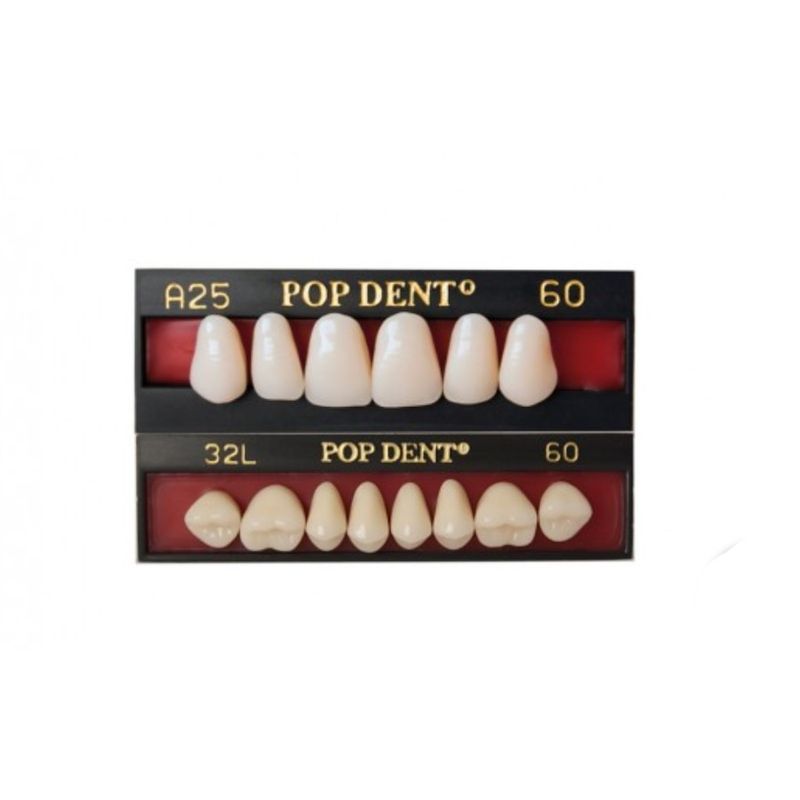 Dente Popdent Anterior Inferior 2D Cor 60 - Dentbras - Dental Vidafarma